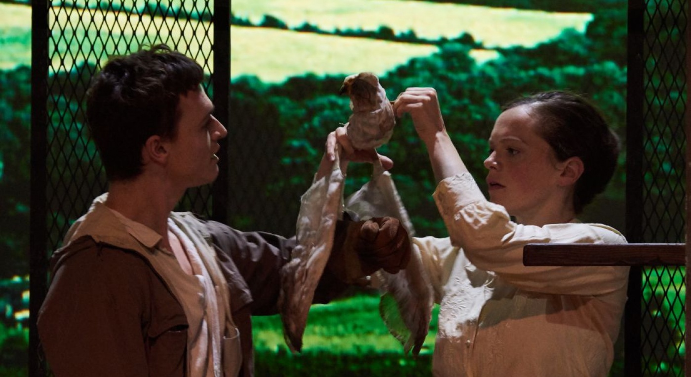 Kes Reimagined: from stage to screen | The Space