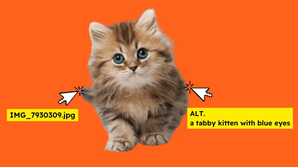 Using alt text effectively | The Space
